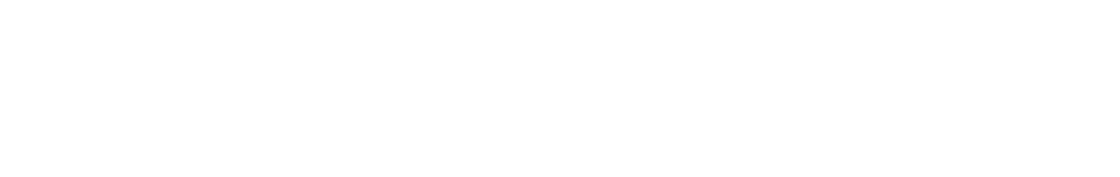 Insurance Plus Agencies, LLC - Local Geico and Progressive Agent